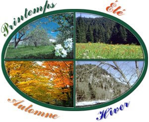 Contenu de danstesdents - Page 2 - Club Poker